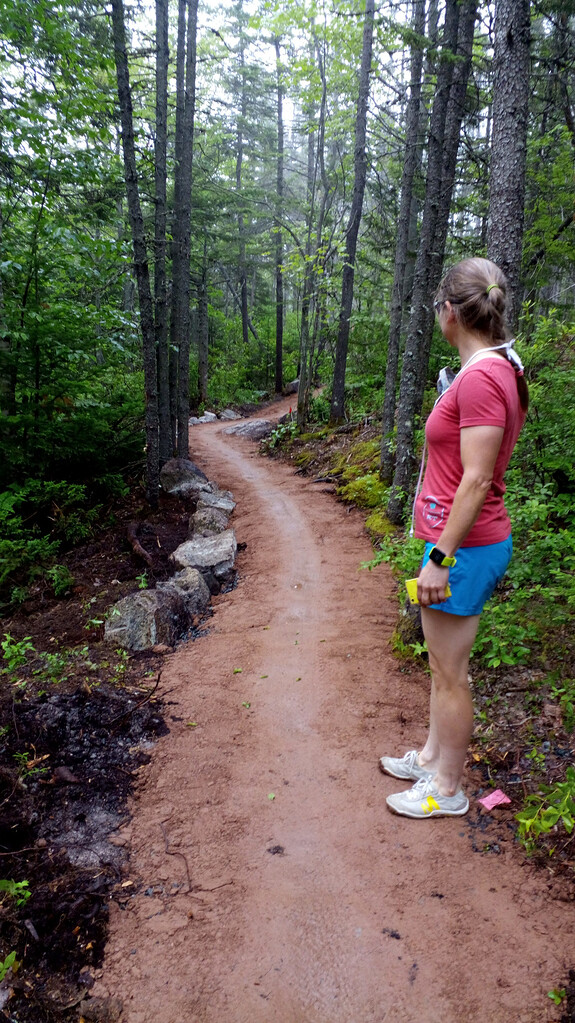 Clark Kent trail at McIntosh Run - Trails: NS - ECMTB