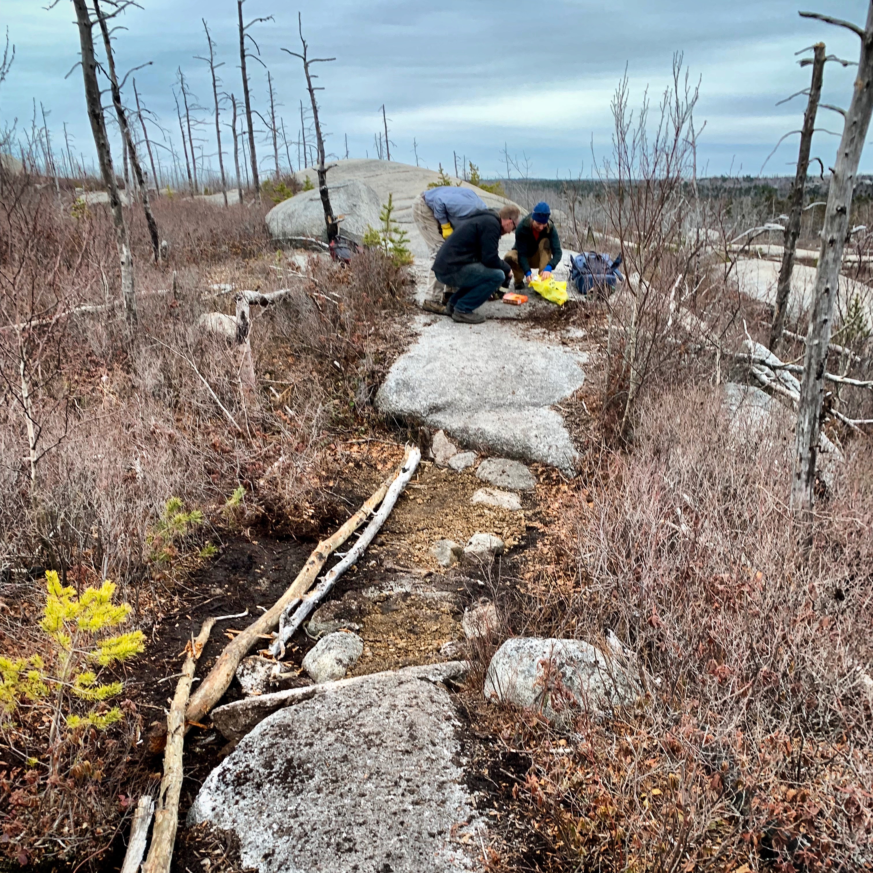 MRWA Trail work - Thurs Apr 18th - Events - ECMTB